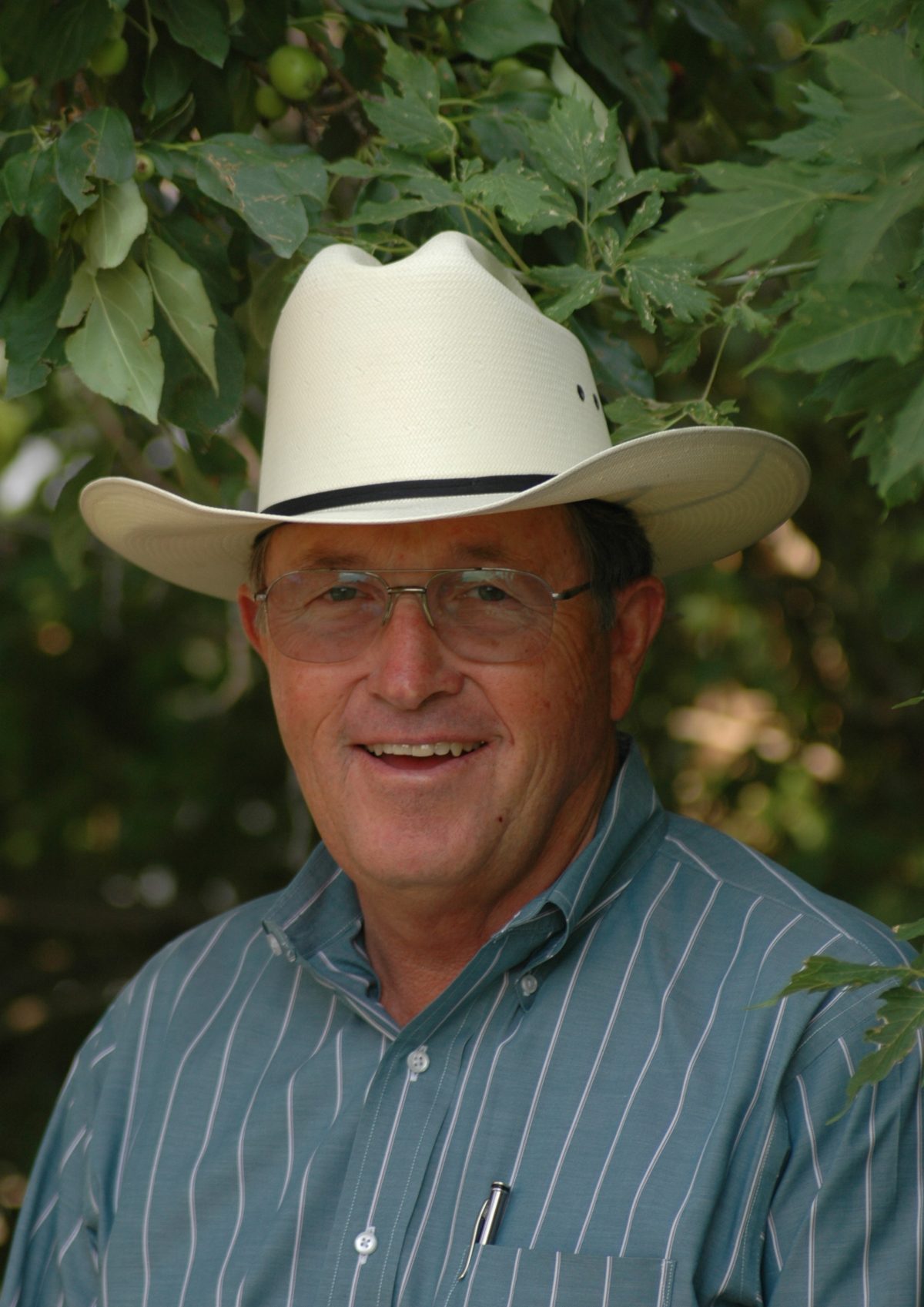 Terry D. Swanson, DVM - The Foundation For The Horse